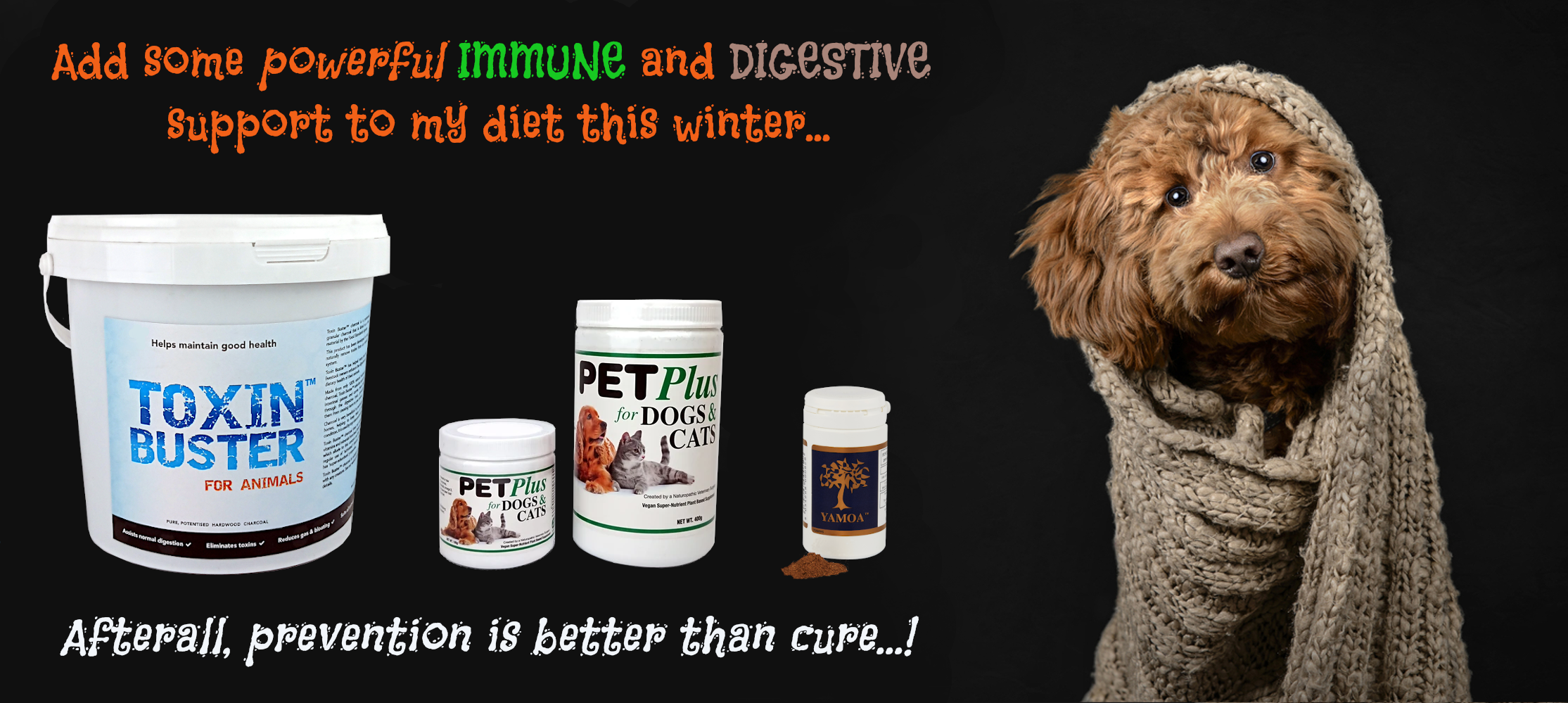Animal Supplements – Not the Norm Natural Alternatives