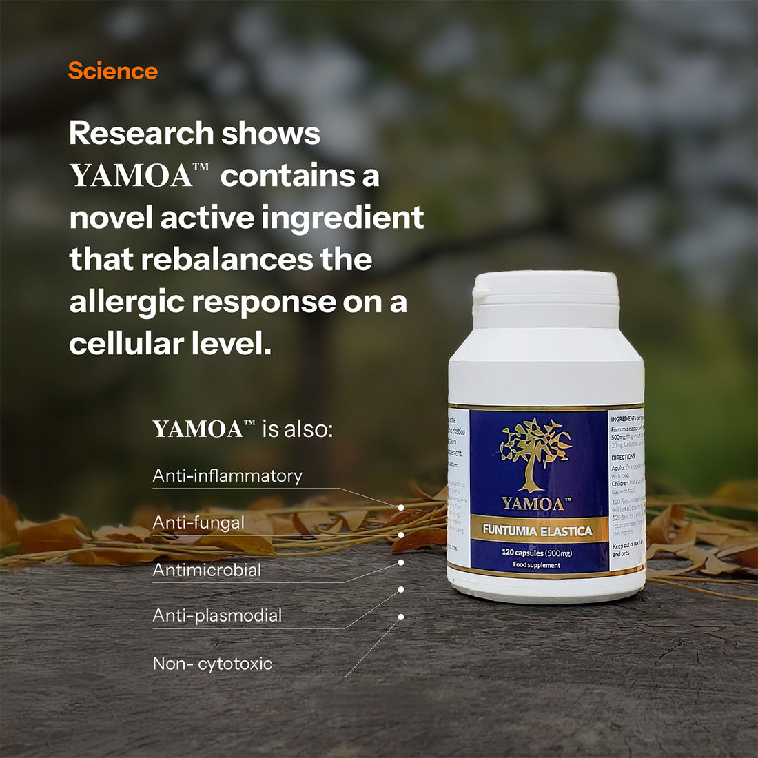 Yamoa™ Powder & Capsules Food Supplement for Natural Respiratory ...
